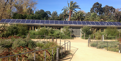 Solar Energy in Australia: Zoo Offsets Tons of CO2 Emissions Through ...